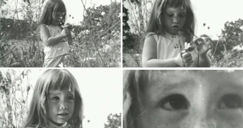 The '60s at 50: Monday, September 7, 1964: 'Daisy' ad