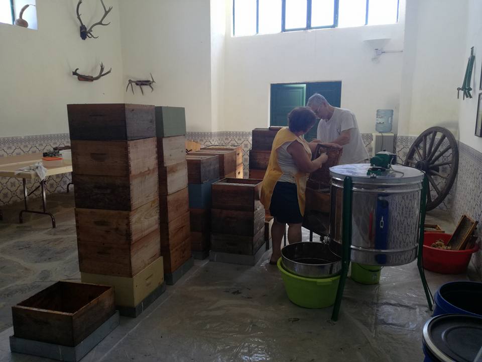 Notícias de Castelo de Vide: Vida económica local: já se prepara o mel ...