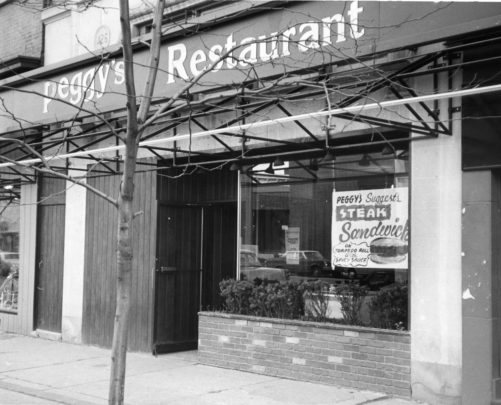 Grems-Doolittle Library Collections Blog: Schenectady in the 1970s and ...