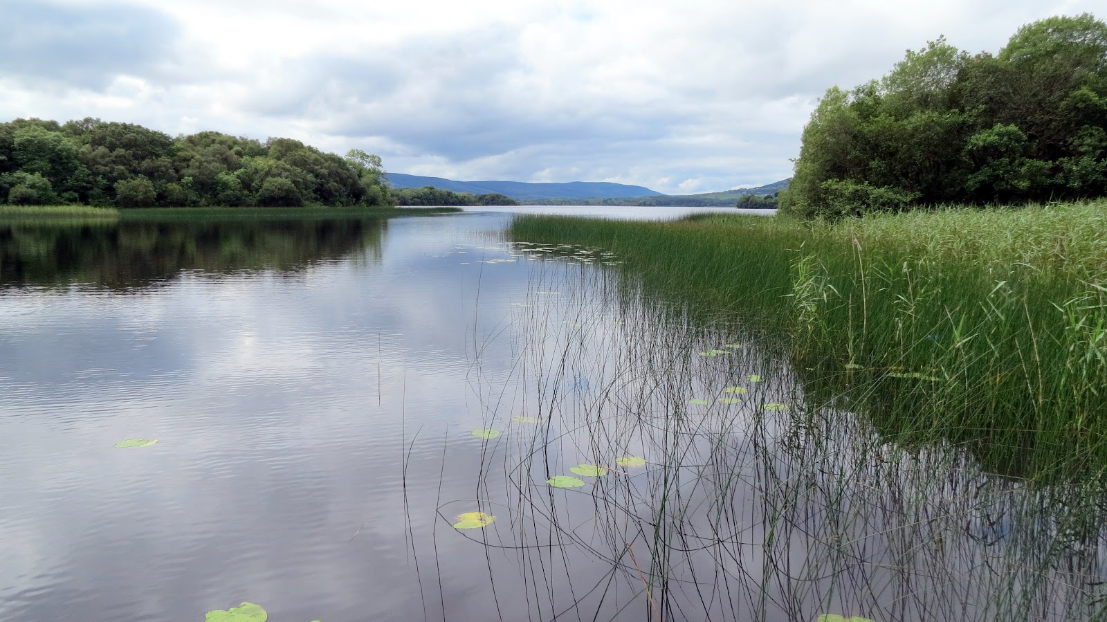 The Glebe Blog: Ireland August 2012 - Day 7 & 8 - Dunmakeever and ...