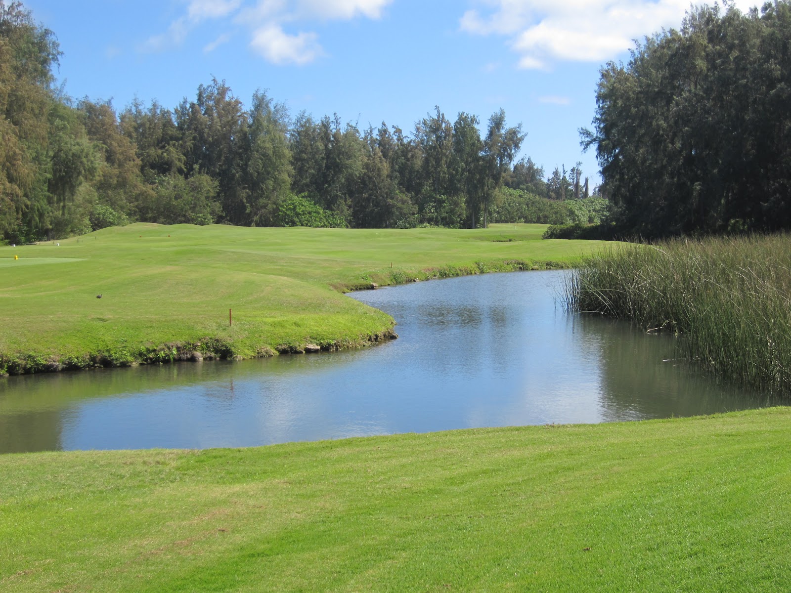 Jim's USA Golf Tour - 2012: Warm-Up #3: Turtle Bay - Palmer Course