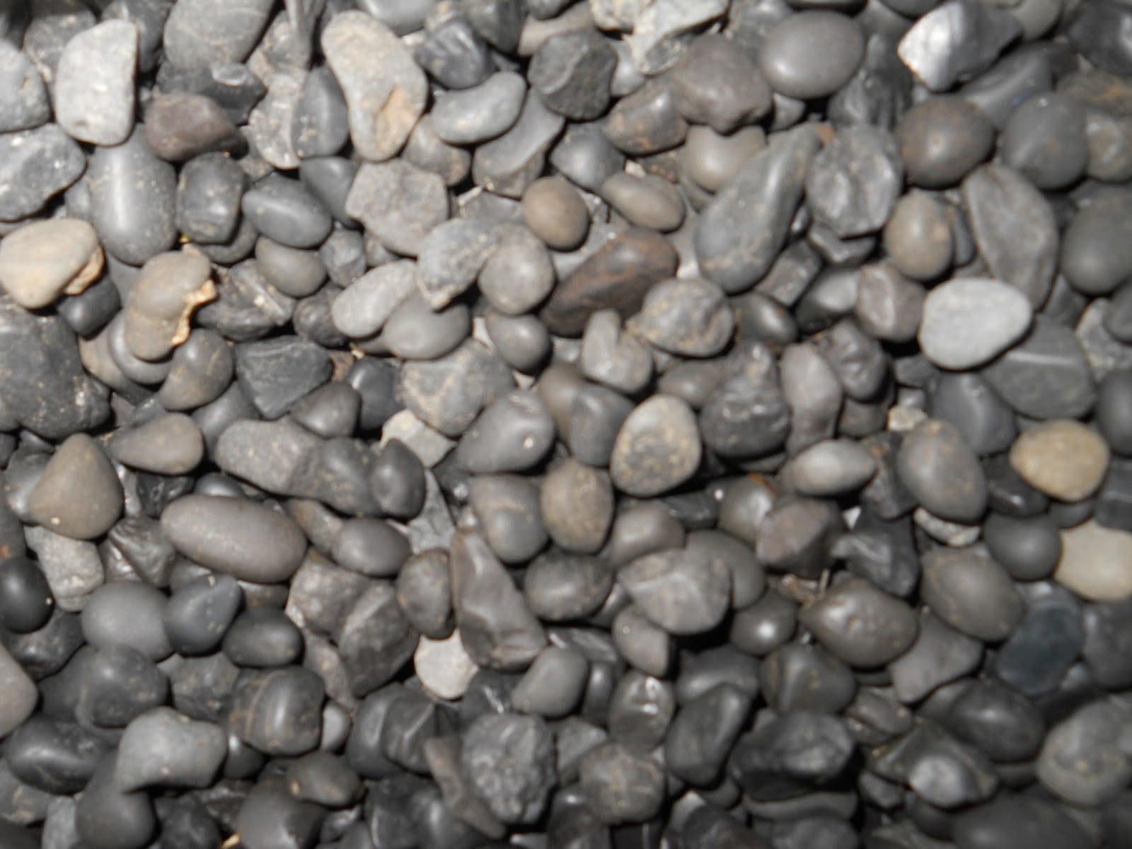 9 Jenis Motif Batu Sikat atau Koral Sikat | Jasa Tukang Taman Jakarta ...