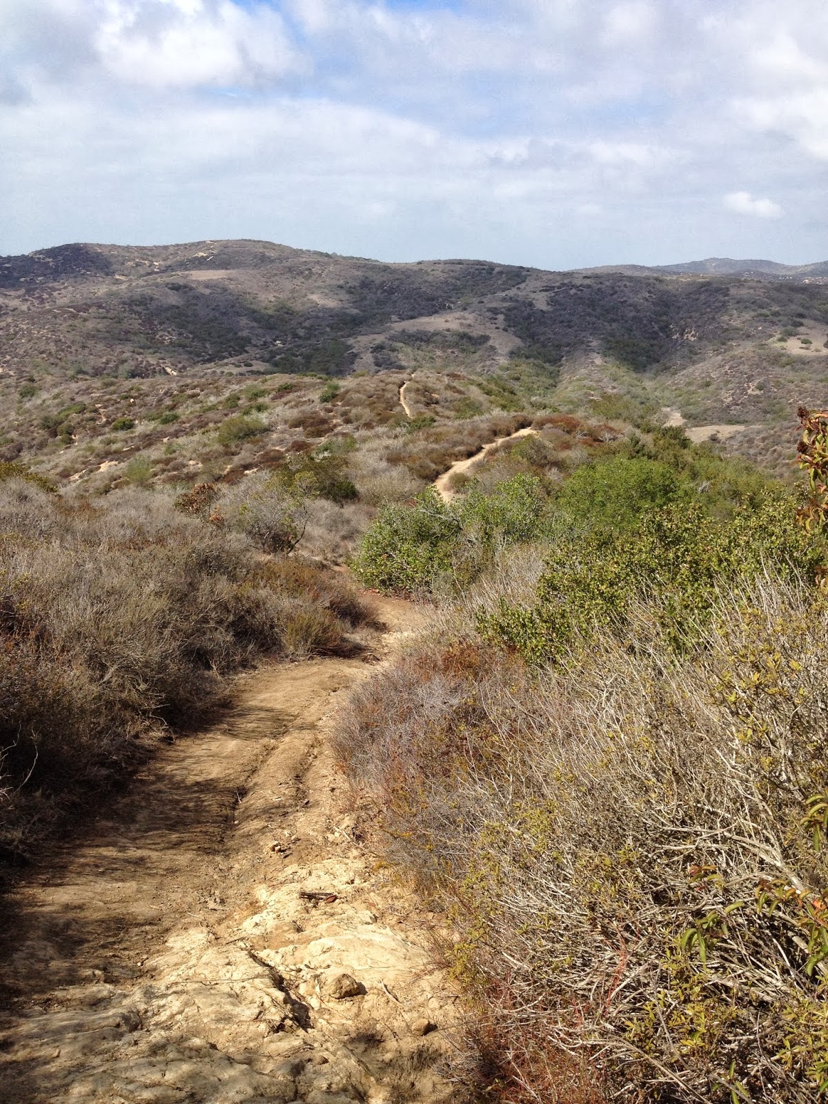 Iron Hiker: Laguna Coast Willow Canyon to Old Emerald Falls Loop