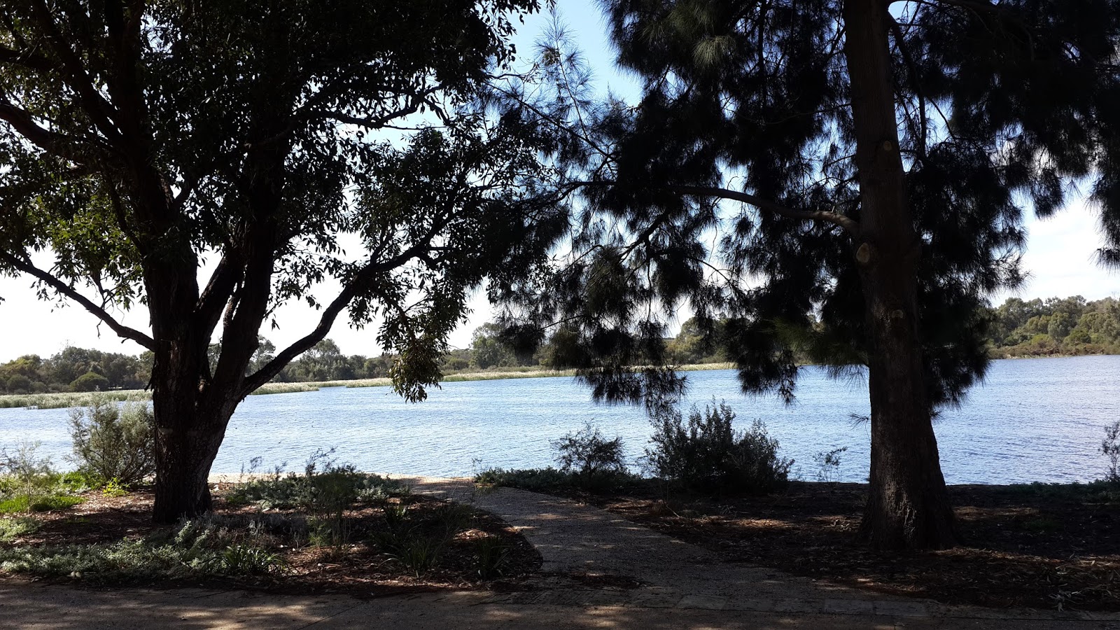 My Travel Diary: Bibra Lake Reserve