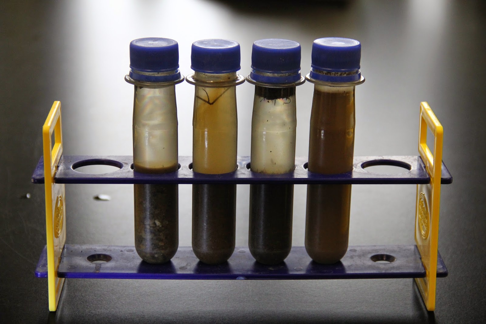 Isabella Conservation District Environmental Education Program: Soil ...