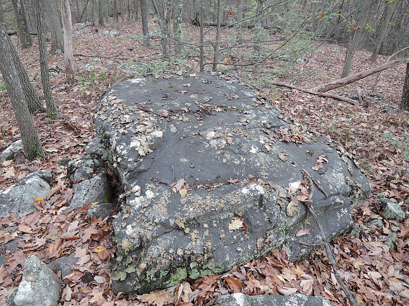 Turtle Rock in Warwick ~ Hudson Valley Geologist