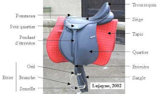 Equiguide: Les différentes parties de la selle