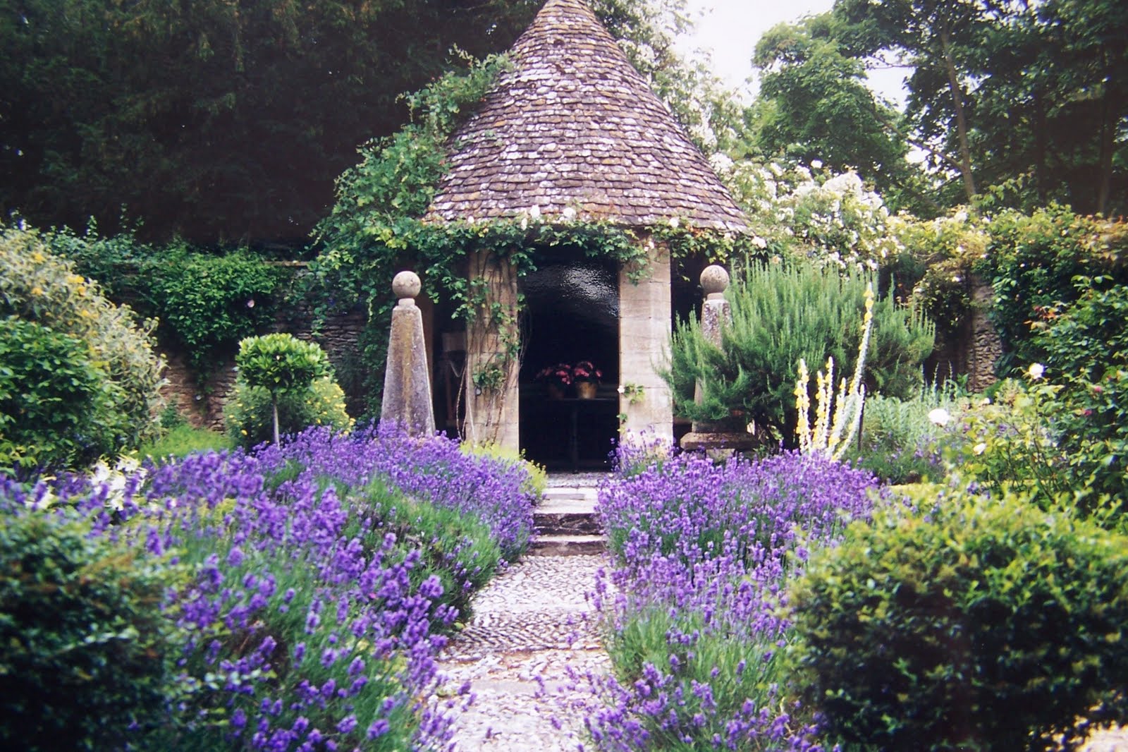 TARA DILLARD: Stone In Your Landscape