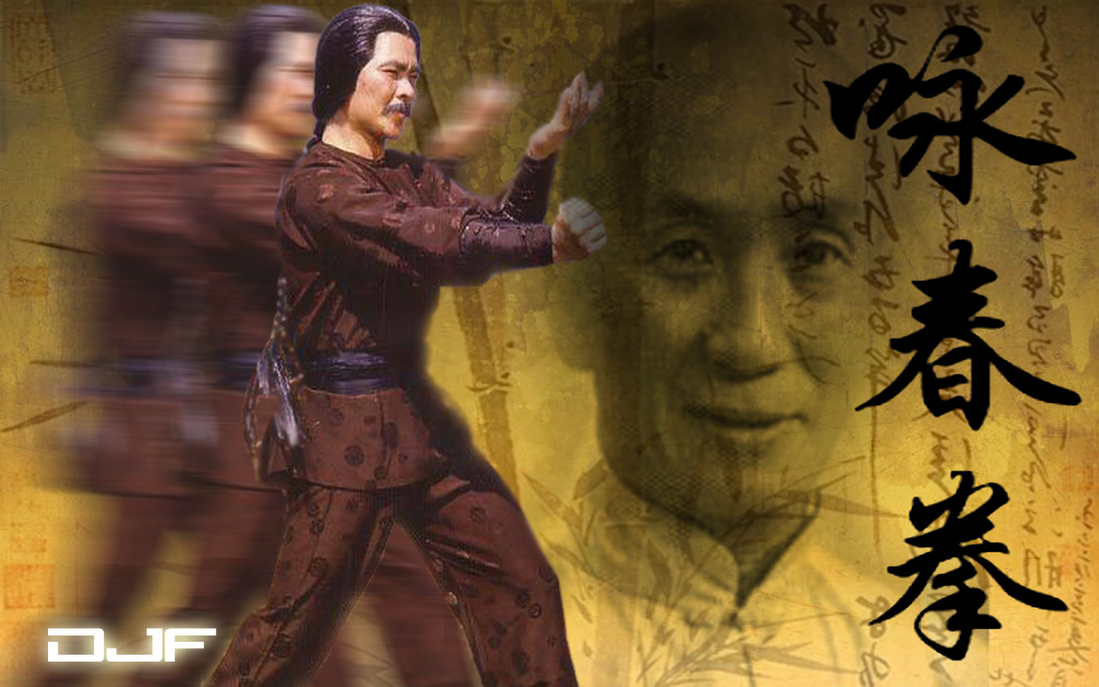 WING CHUN ART SYSTEM BRASIL : WALLPAPERS WING CHUN