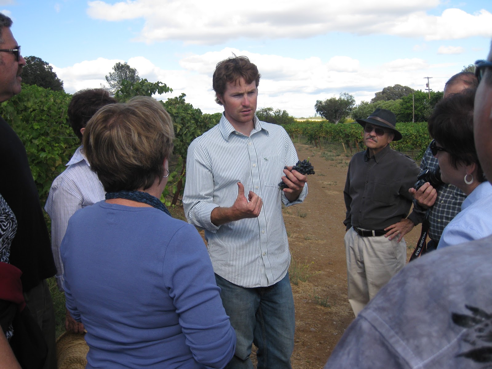 Wooden Wine Boxes & Wine Crates: Artistic Origins and Design on ...
