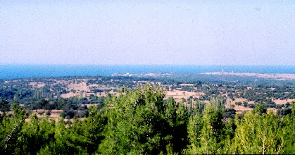 Roads to the Great War: Failure at Gallipoli: Krithia and Achi Baba ...