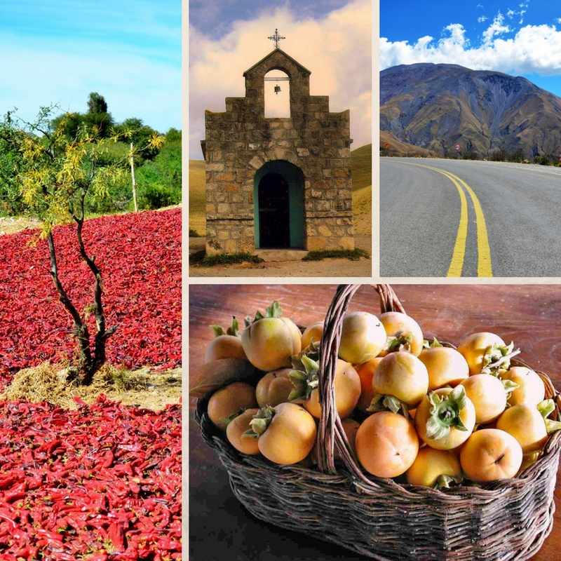 Dia completo a los Valles Calchaquies // Full day visit to the ...