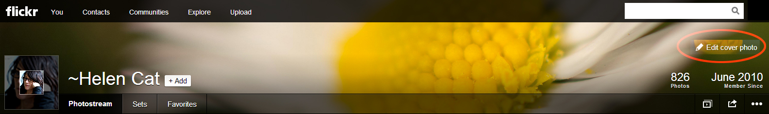 Patis Hilton: Flickr Cover Photo Size