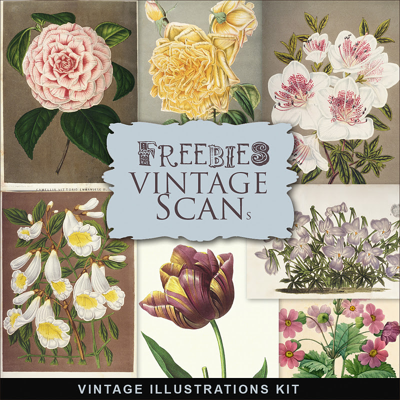 Freebies Vintage Flowers Illustrations:Far Far Hill - Free database of ...