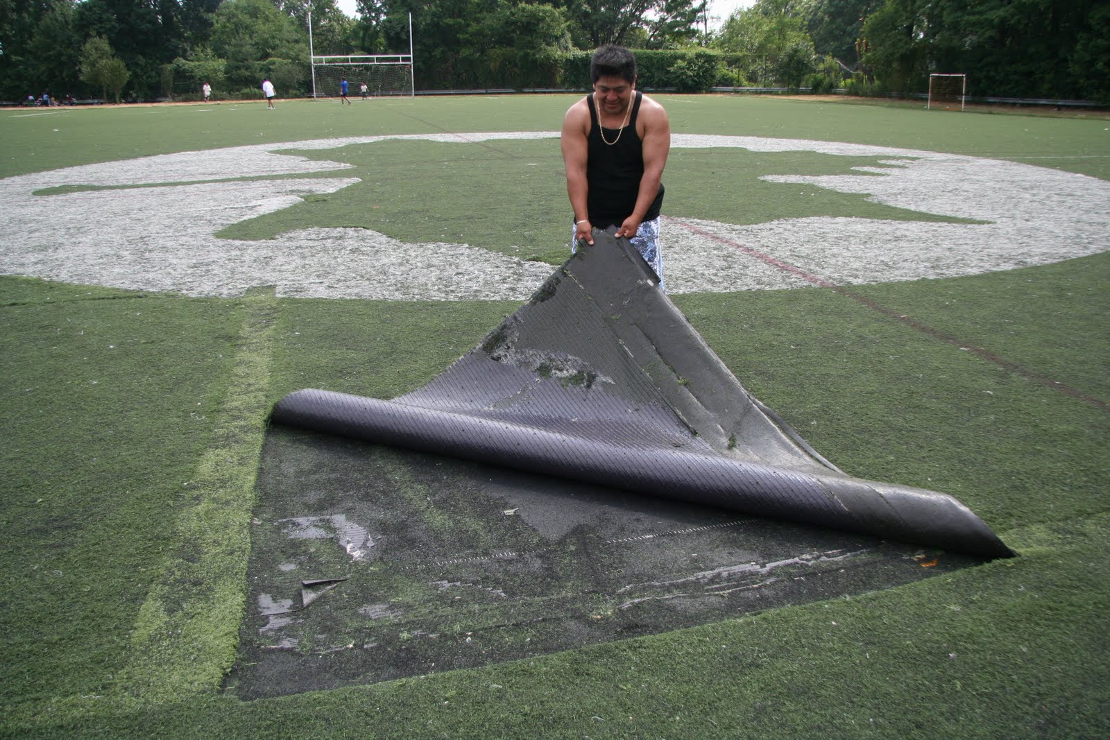 A Walk in the Park: Artificial Turf Health Hazards Questioned Again In ...