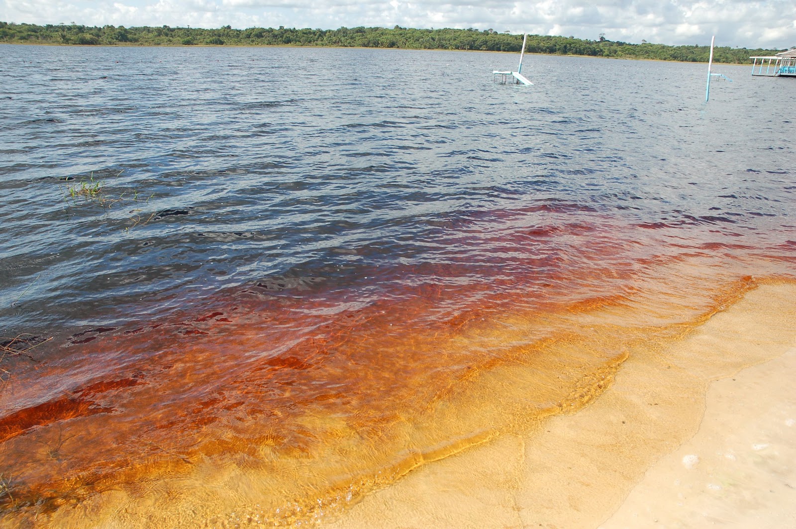 Patricia and Jean-Claude in Guyana: 2 months already! – 2 mois déjà