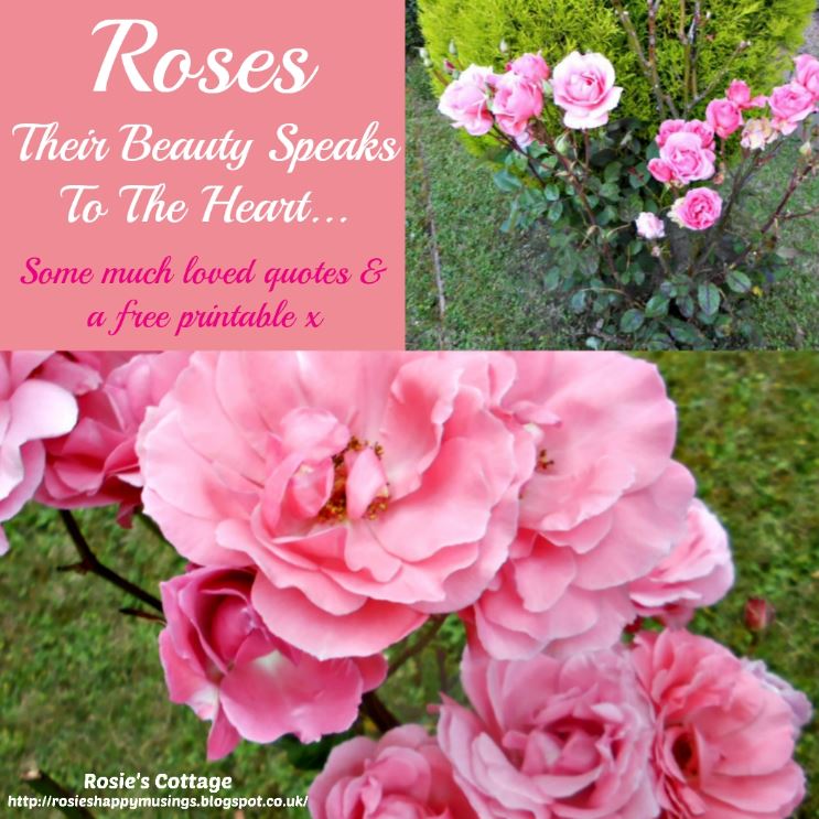 Rosie's Cottage: Roses: Much Loved Quotes & Free Printable