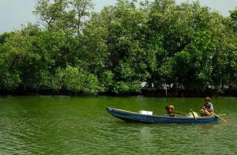 jalan-jalan indonesia indah: PANTAI MUARA BETING/MUARA GEMBONG DI BEKASI