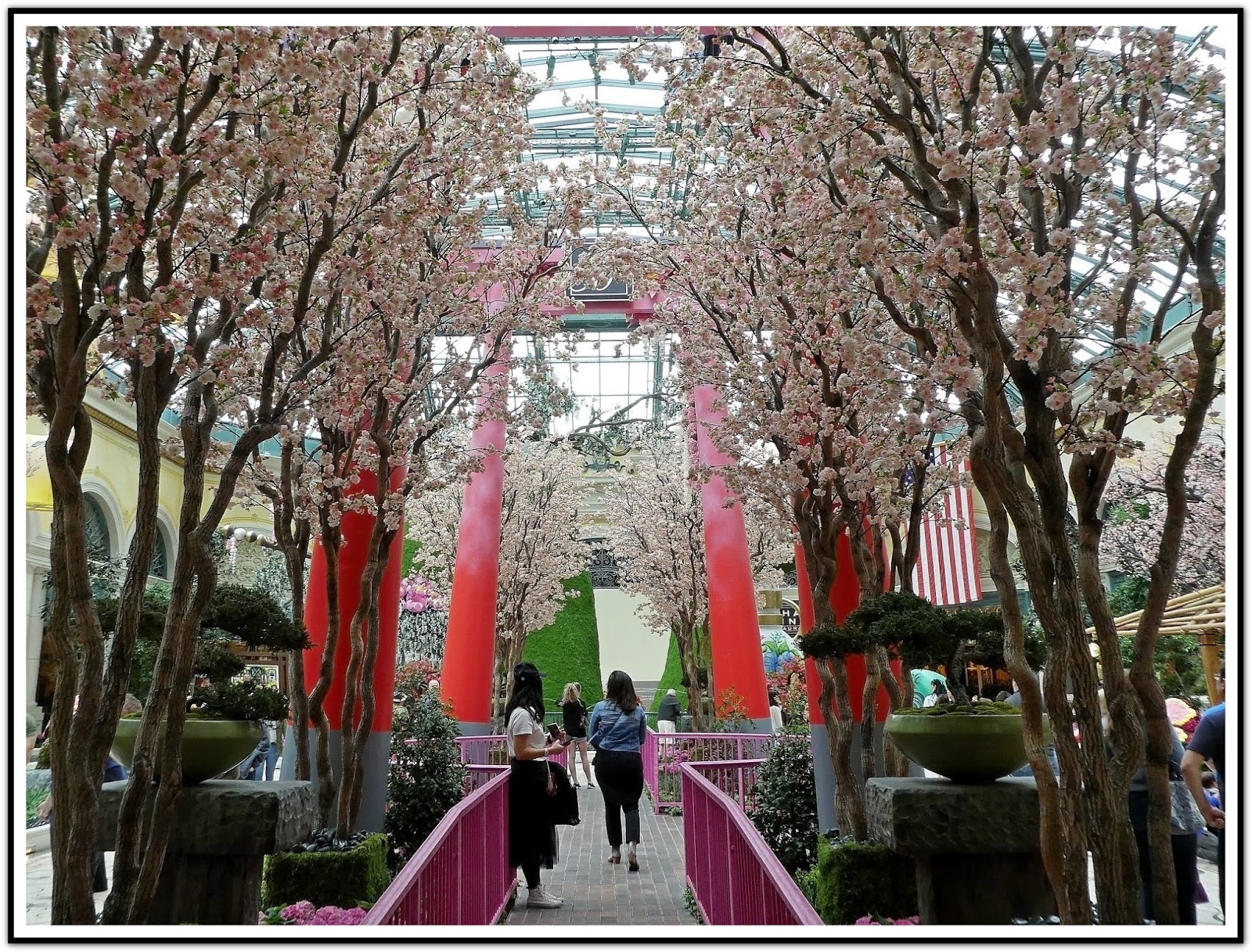 Ken's Photo Gallery: Bellagio’s Conservatory & Botanical Garden ...