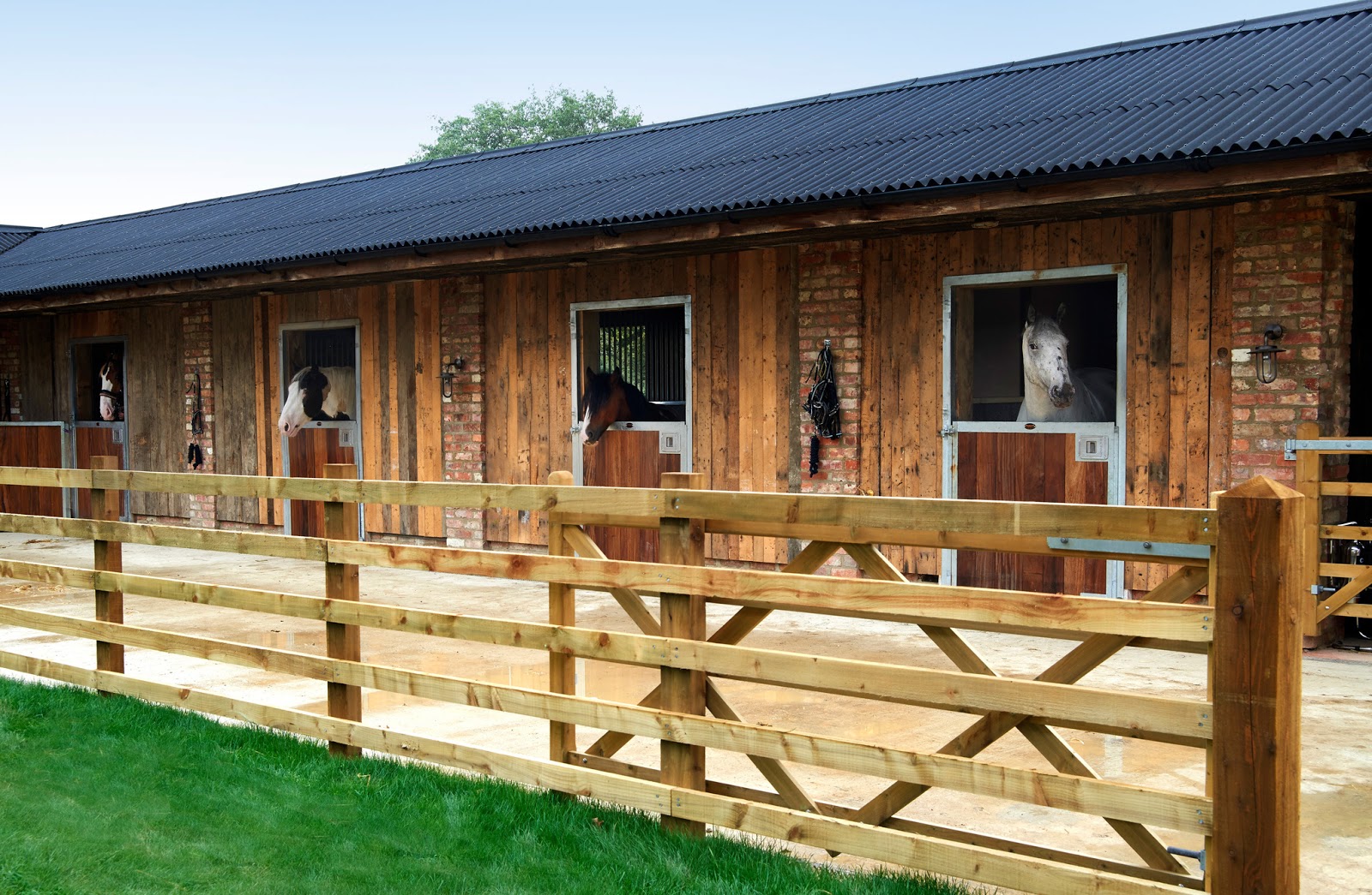 Alexandra D. Foster Destinations Perfected