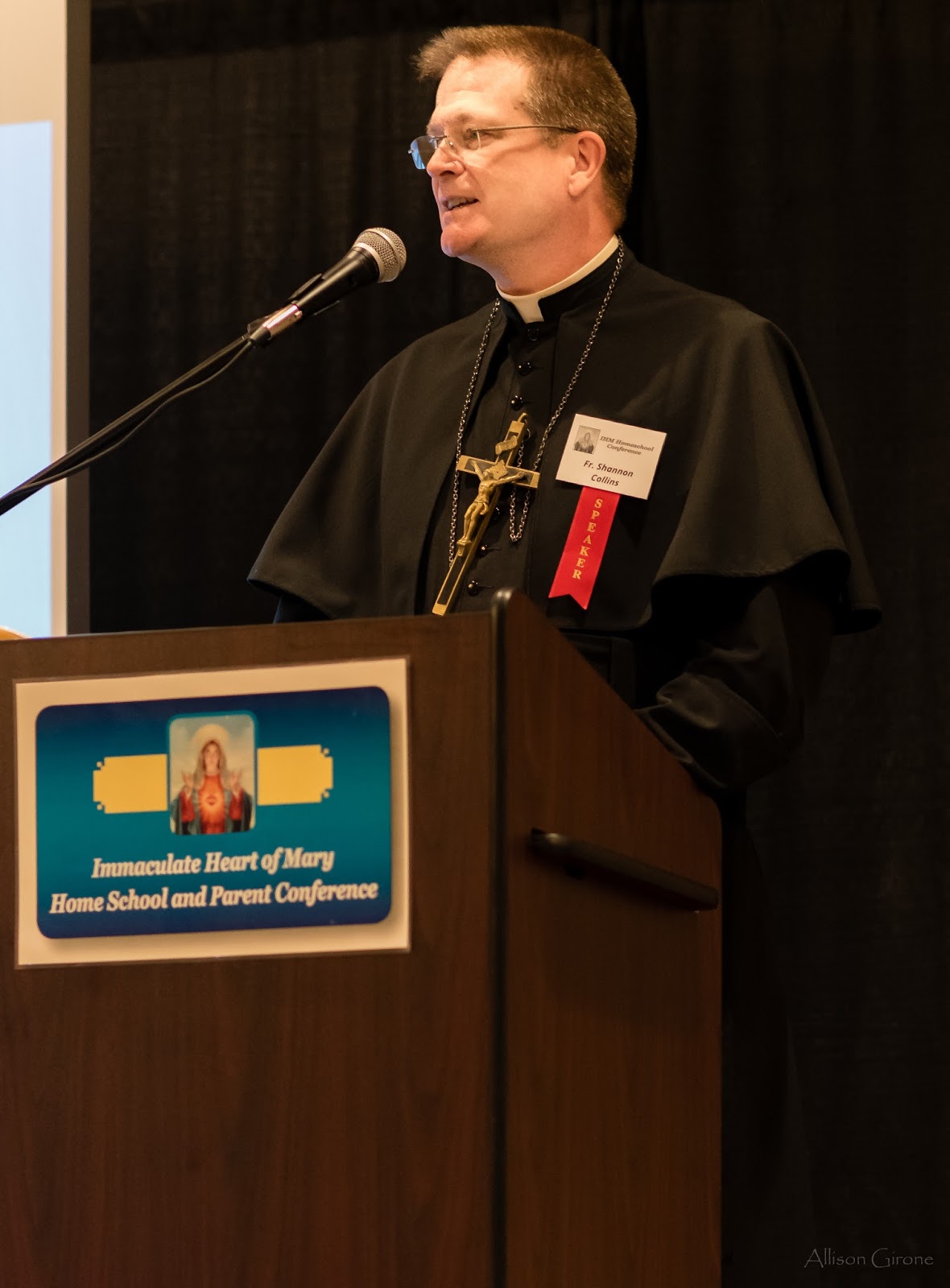 Fr. Shannon Collins - Purgatory, the Perfecting Fire - IHM National ...