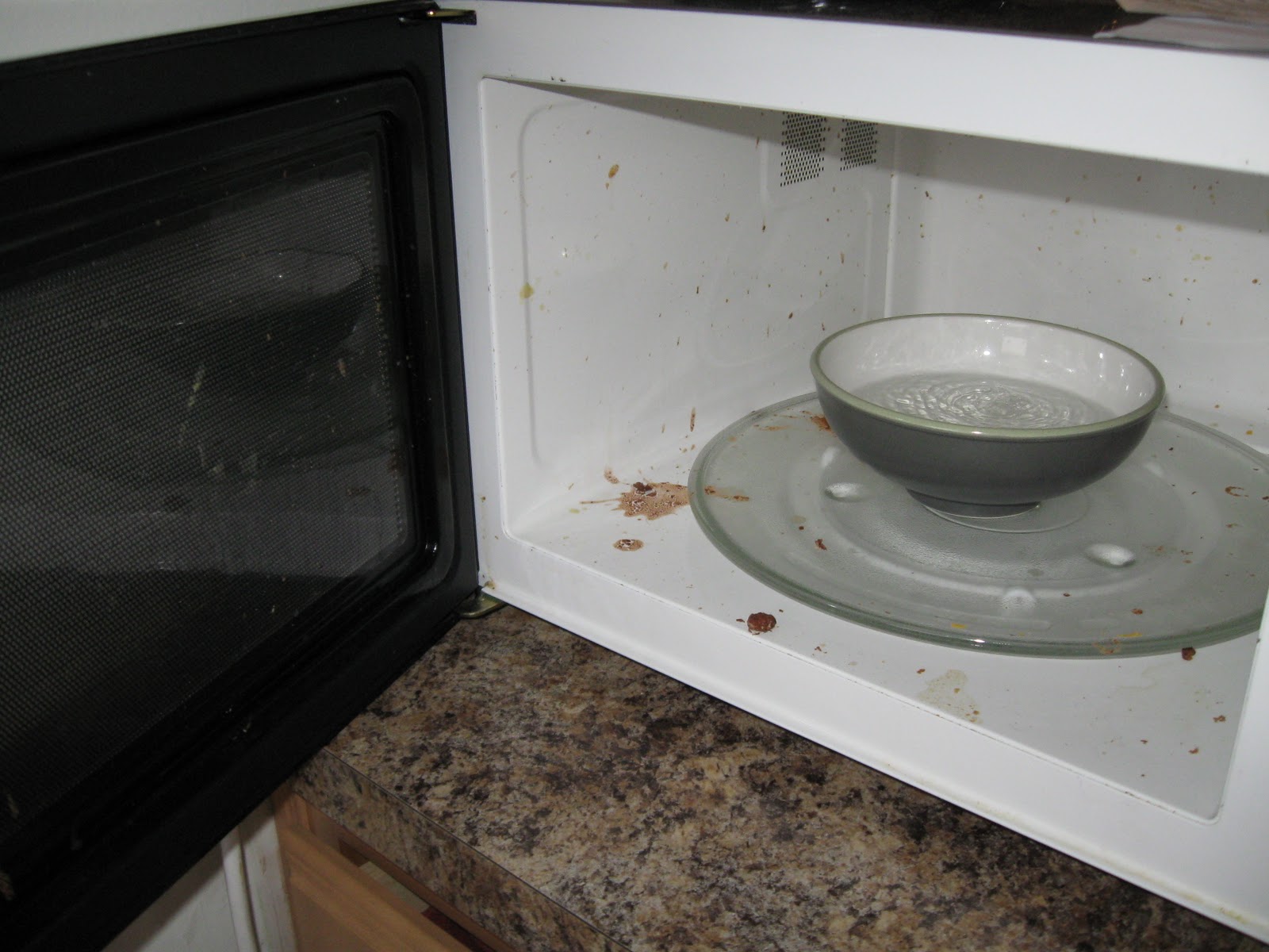 The Family Scientista