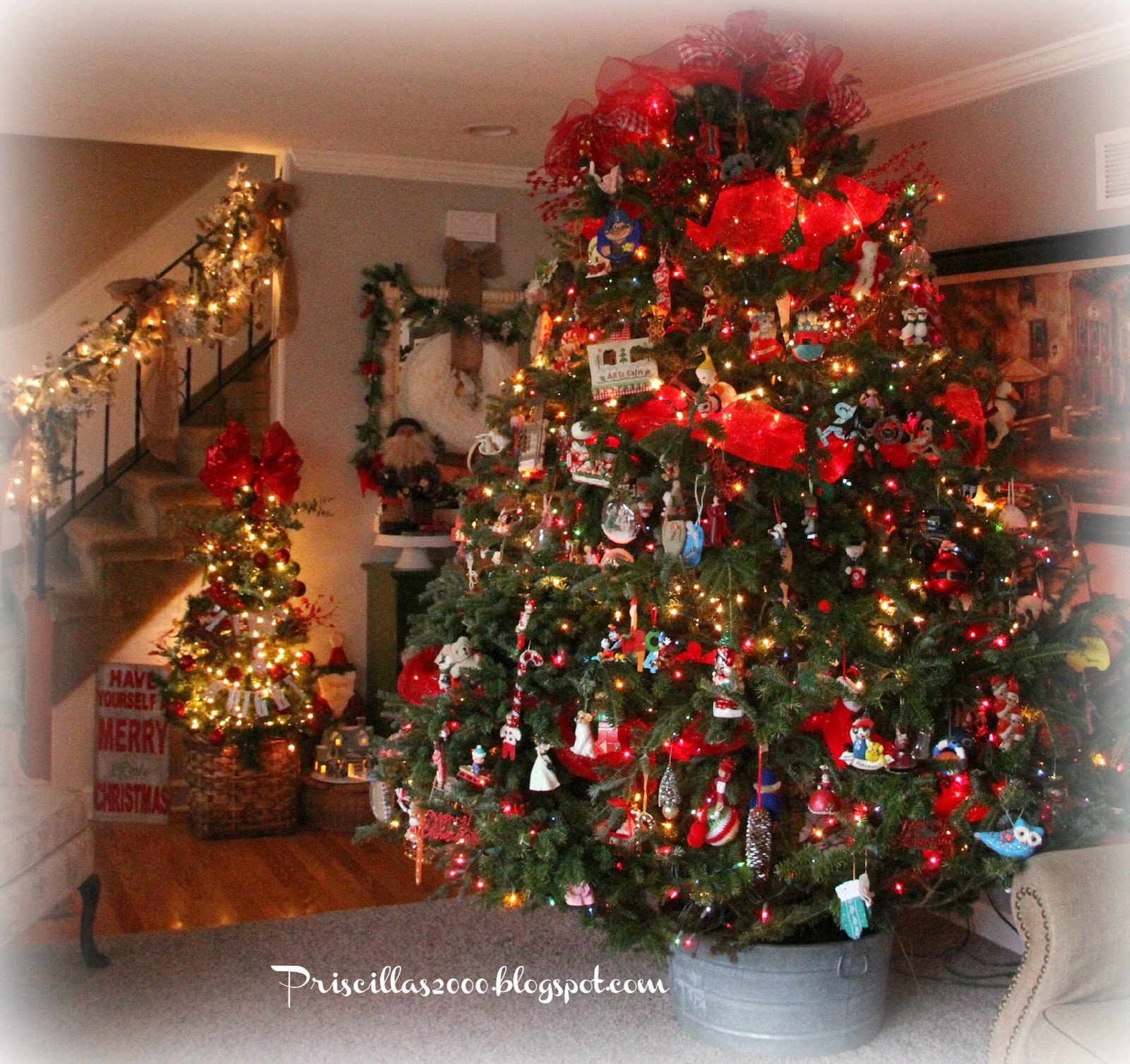 Priscillas: The Huge Frasier Fir