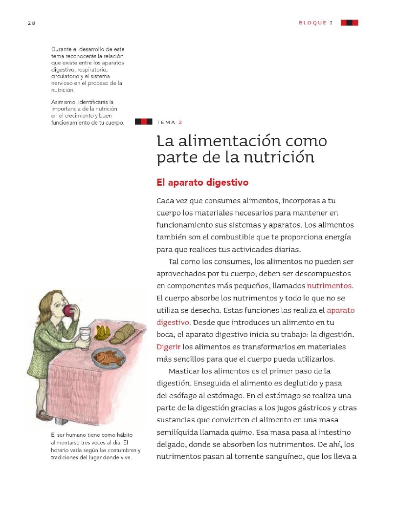 La alimentación como parte de la nutrición - Bloque I - Tema 2