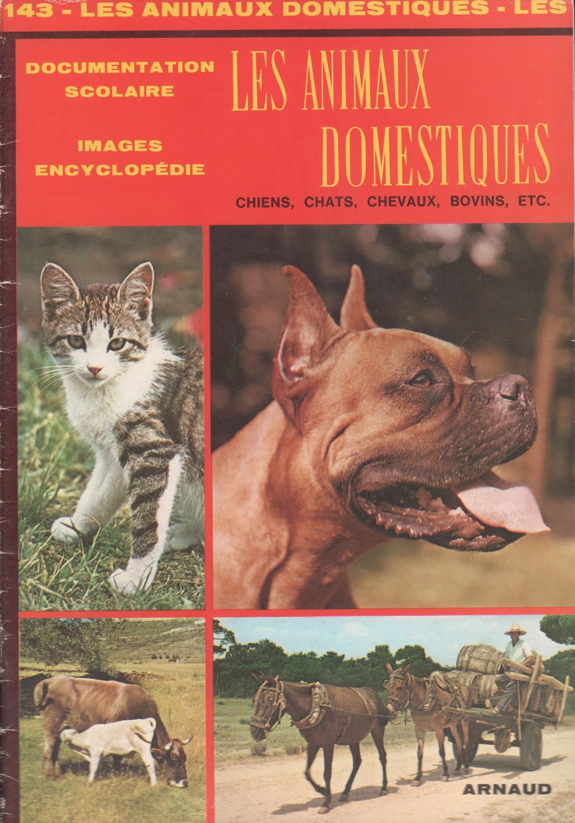 Leçons de choses: Documentation scolaire 143 : Les animaux domestiques