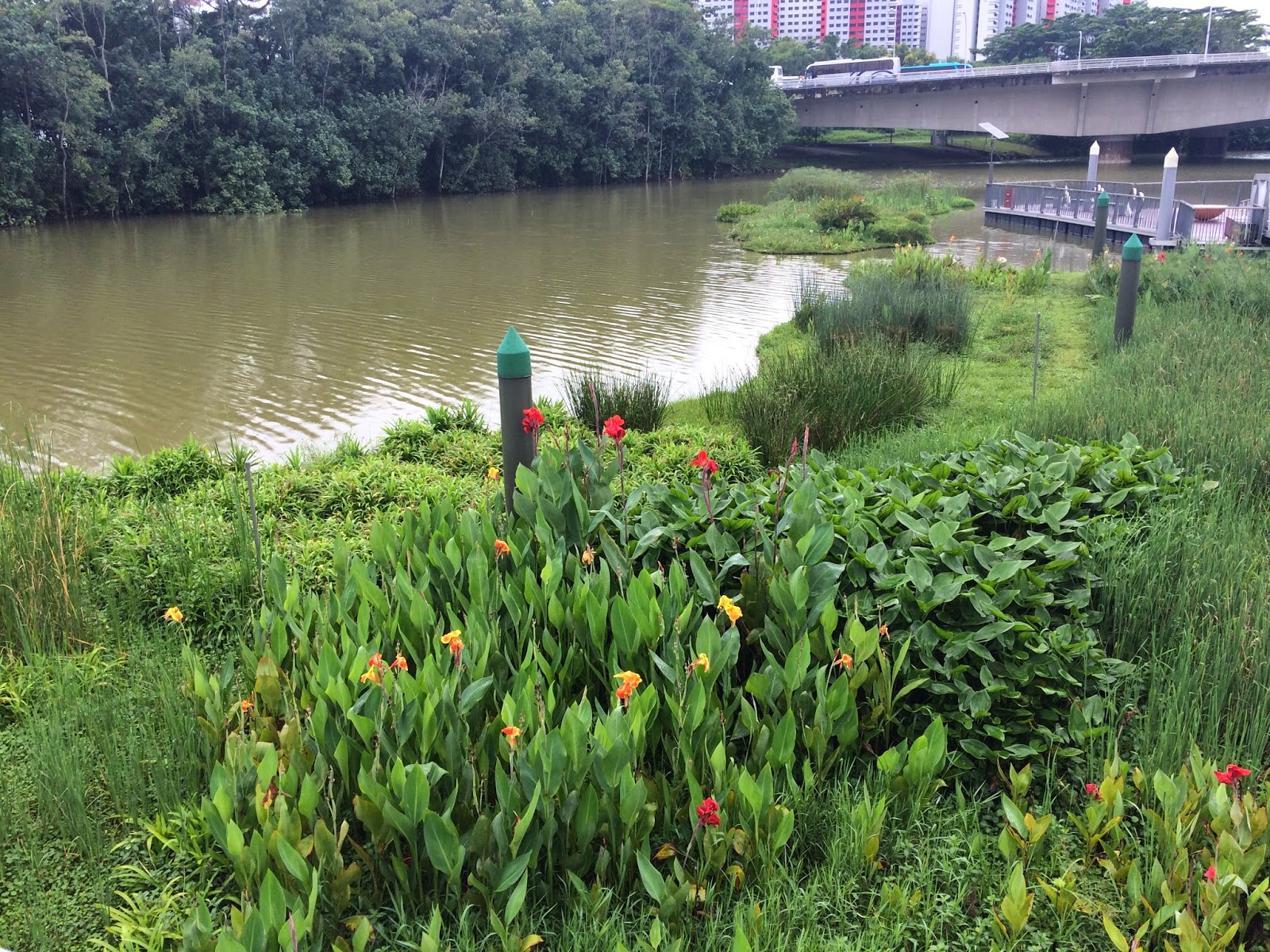 Red Dot Roaming - Farmway LRT - Sengkang Riverside Park Floating Wetland