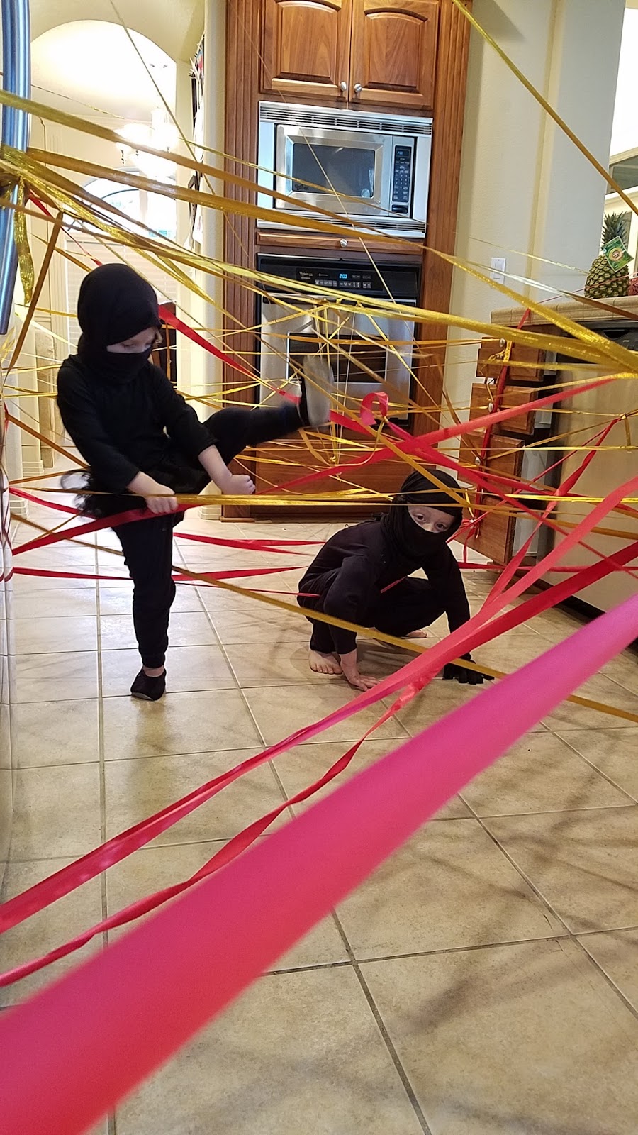 Hornibrook Stories: Ninja Training Course