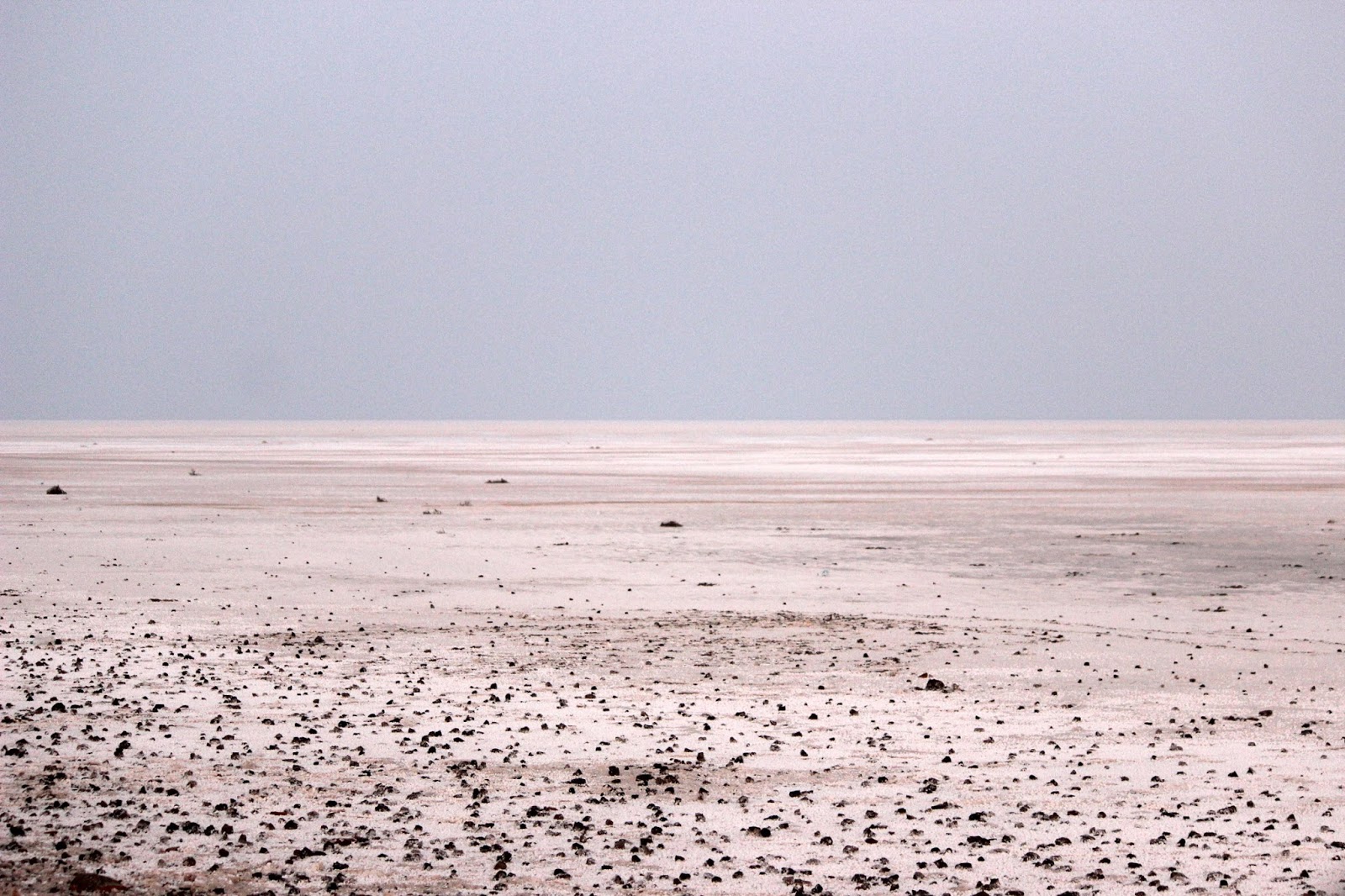 Kohli Around The World: Kutch Rann Utsav 2017 | A winter carnival in ...