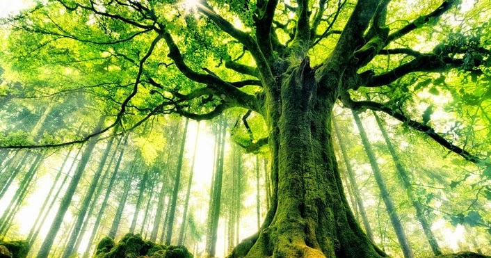 GLOBAL AWARENESS 101 - Let your VOICE be heard and get involved. OUR ...