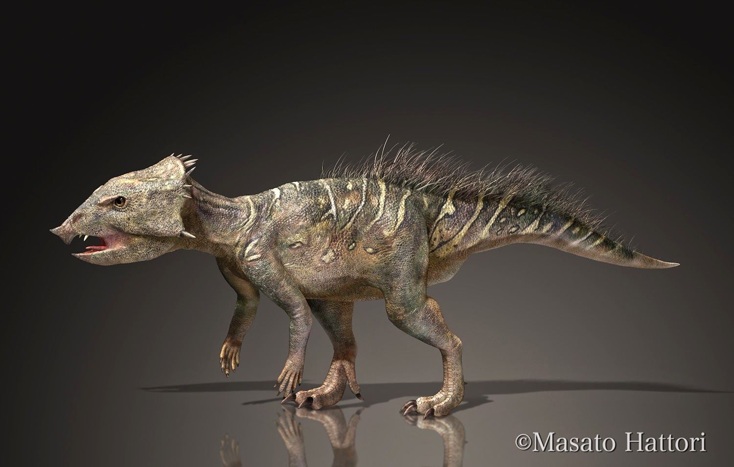 Aquilops americanus, Early Cretaceous (107 Ma), Discovered by Madsen ...