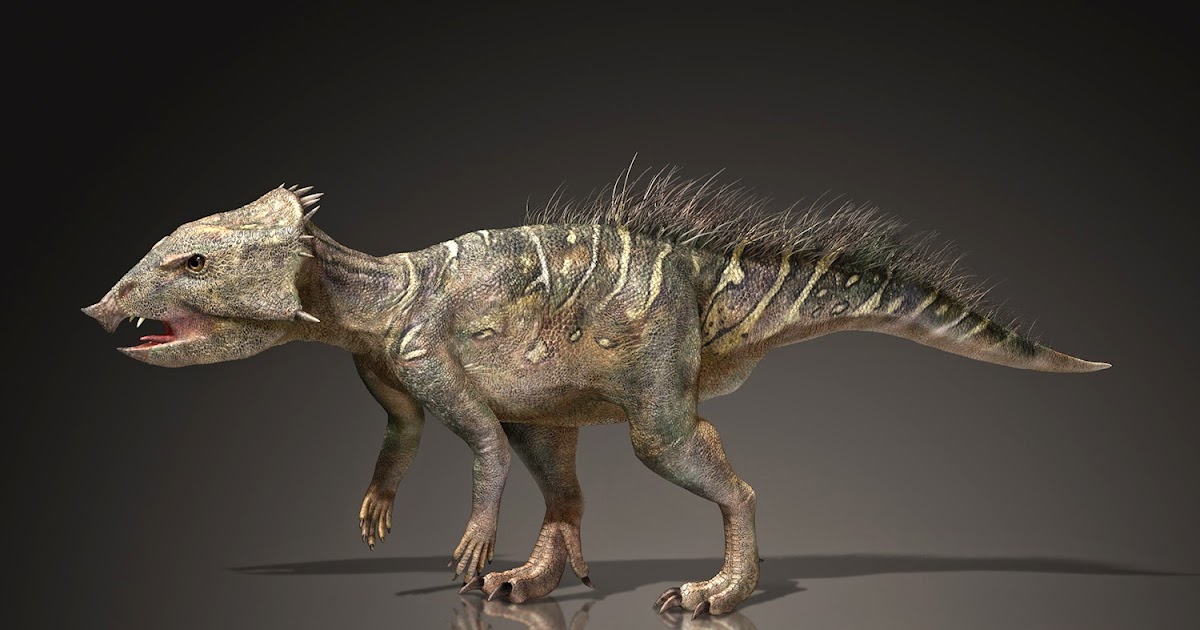 Marchan Blog: アクイロプス・アメリカヌス Aquilops americanus