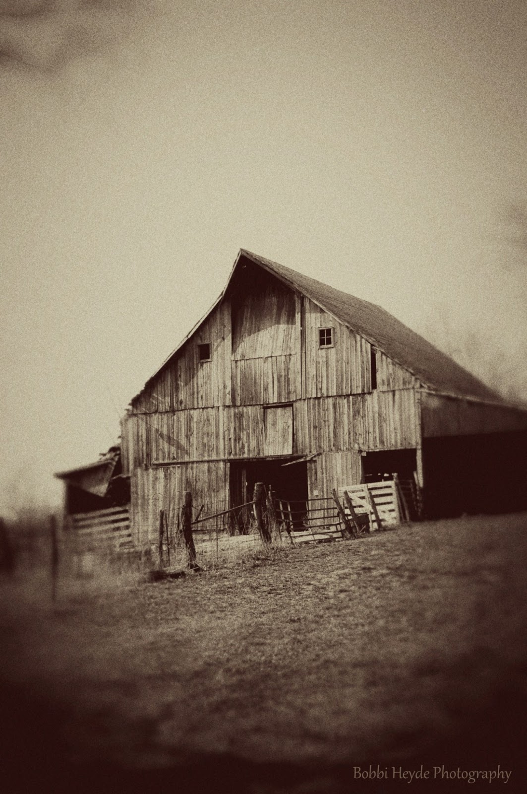 Bobbi Heyde Photography: Week 21: A Vintage Barn