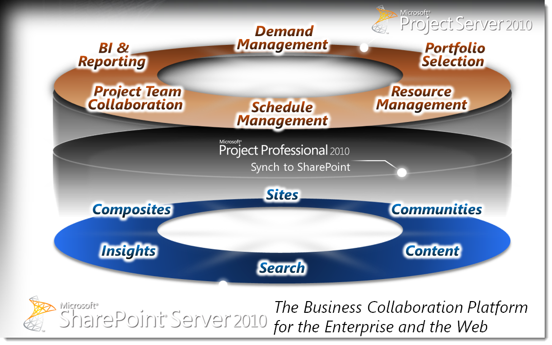 Microsoft Project Server and Microsoft Project Professional: Project ...