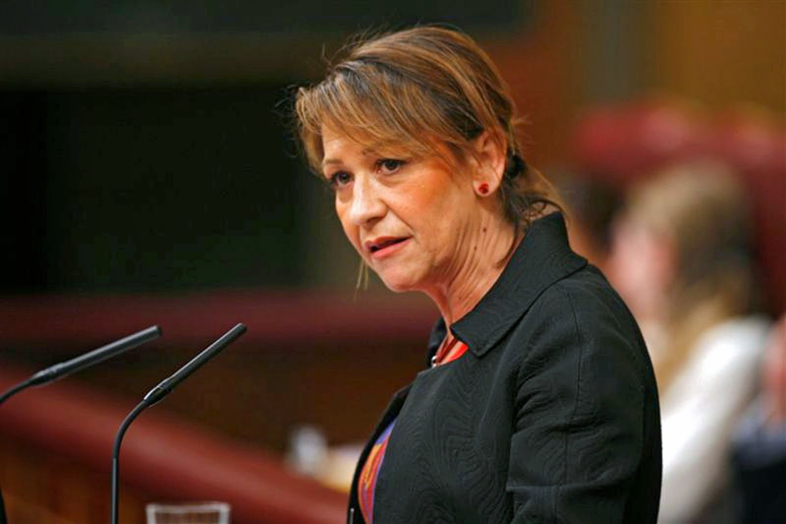 PSPV-PSOE La Vall d'Albaida: L’eurodiputada socialista Inmaculada ...