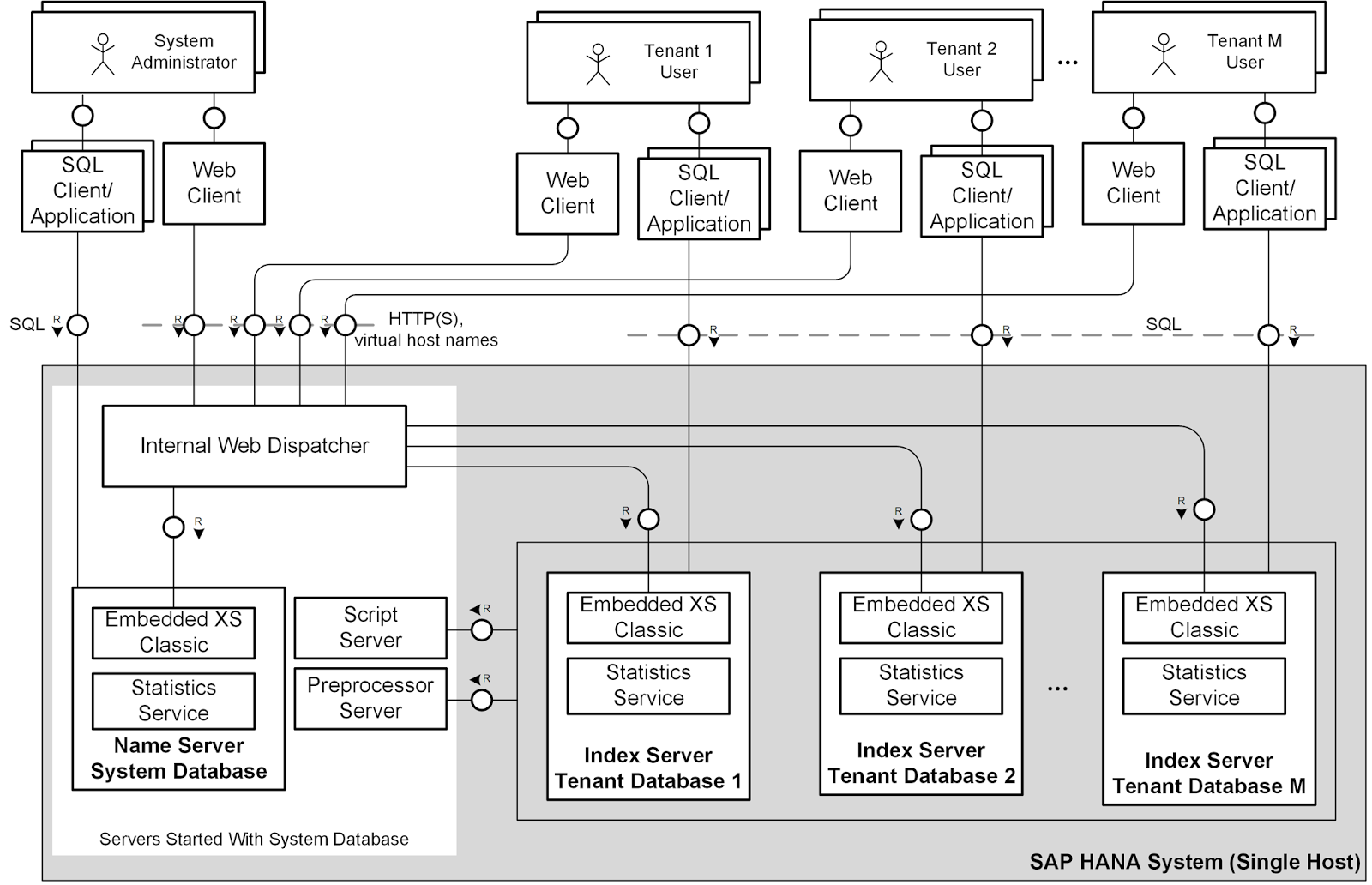 Tenant Database in SAP HANA - SAP Basis Genie