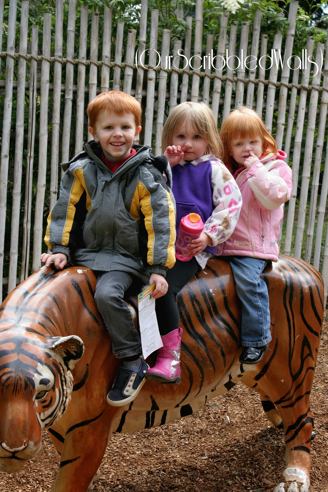 Our Scribbled Walls: Potatoes, Zoos, and The General Relief Society Meeting