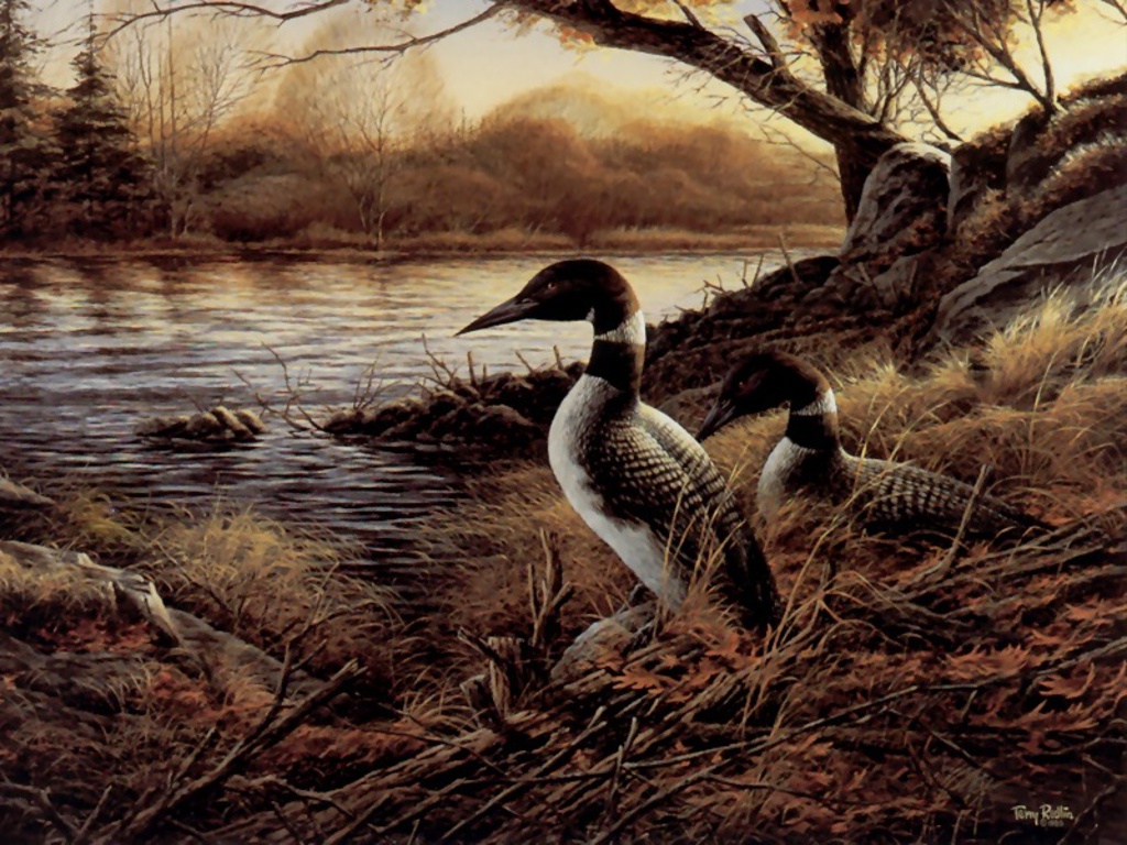 D.W.C. Birds - Artist Terry Redlin - DANCES WITH COLORS