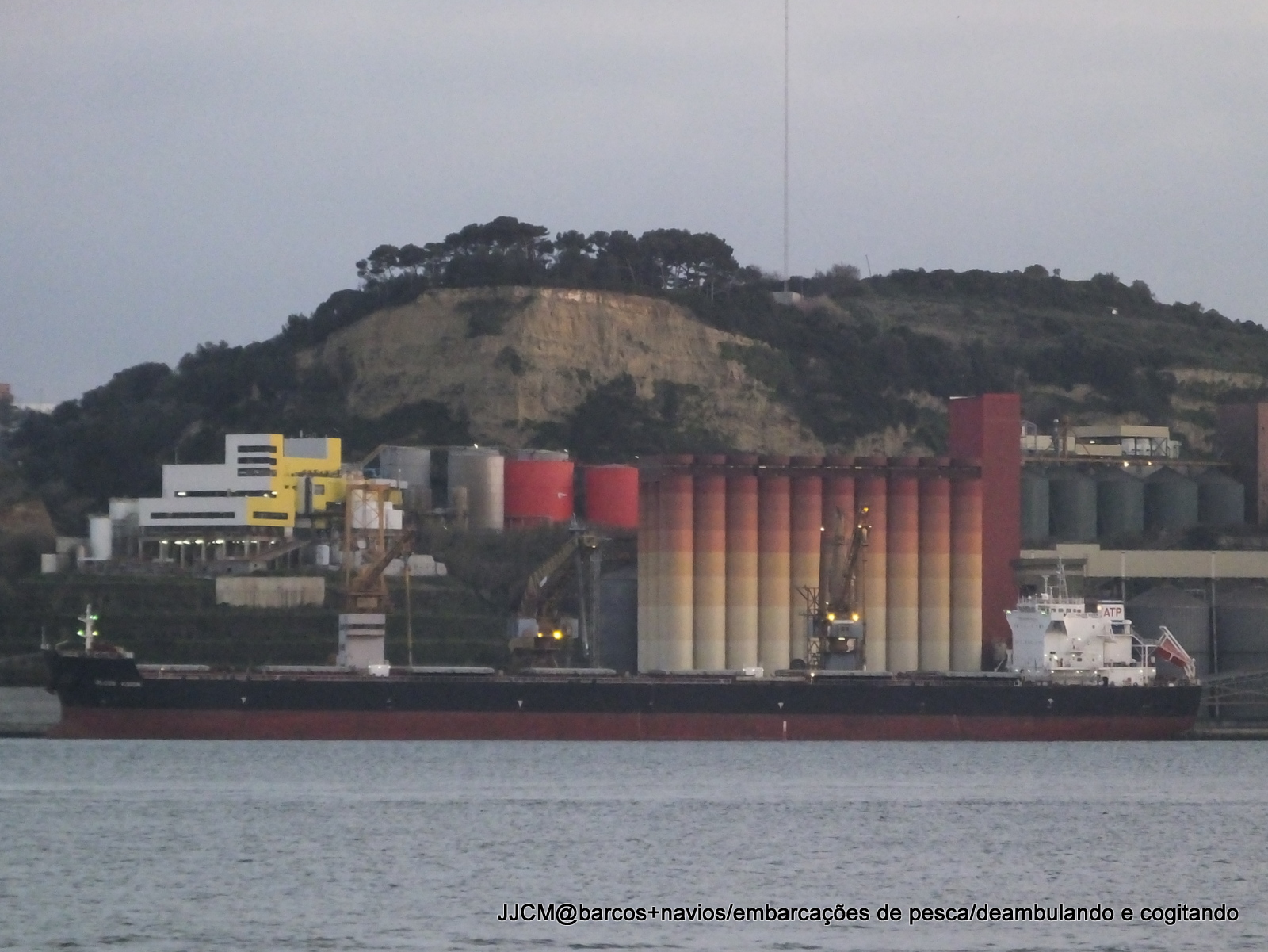 BARCOS+NAVIOS: IOLCOS VISION