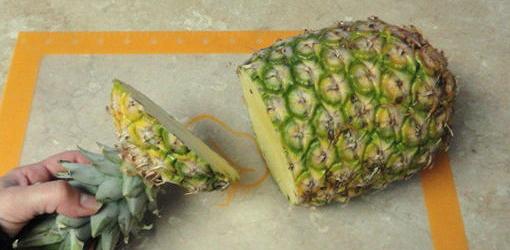 Botanical discoveries: How To Grow Pinaapple In 8 Step