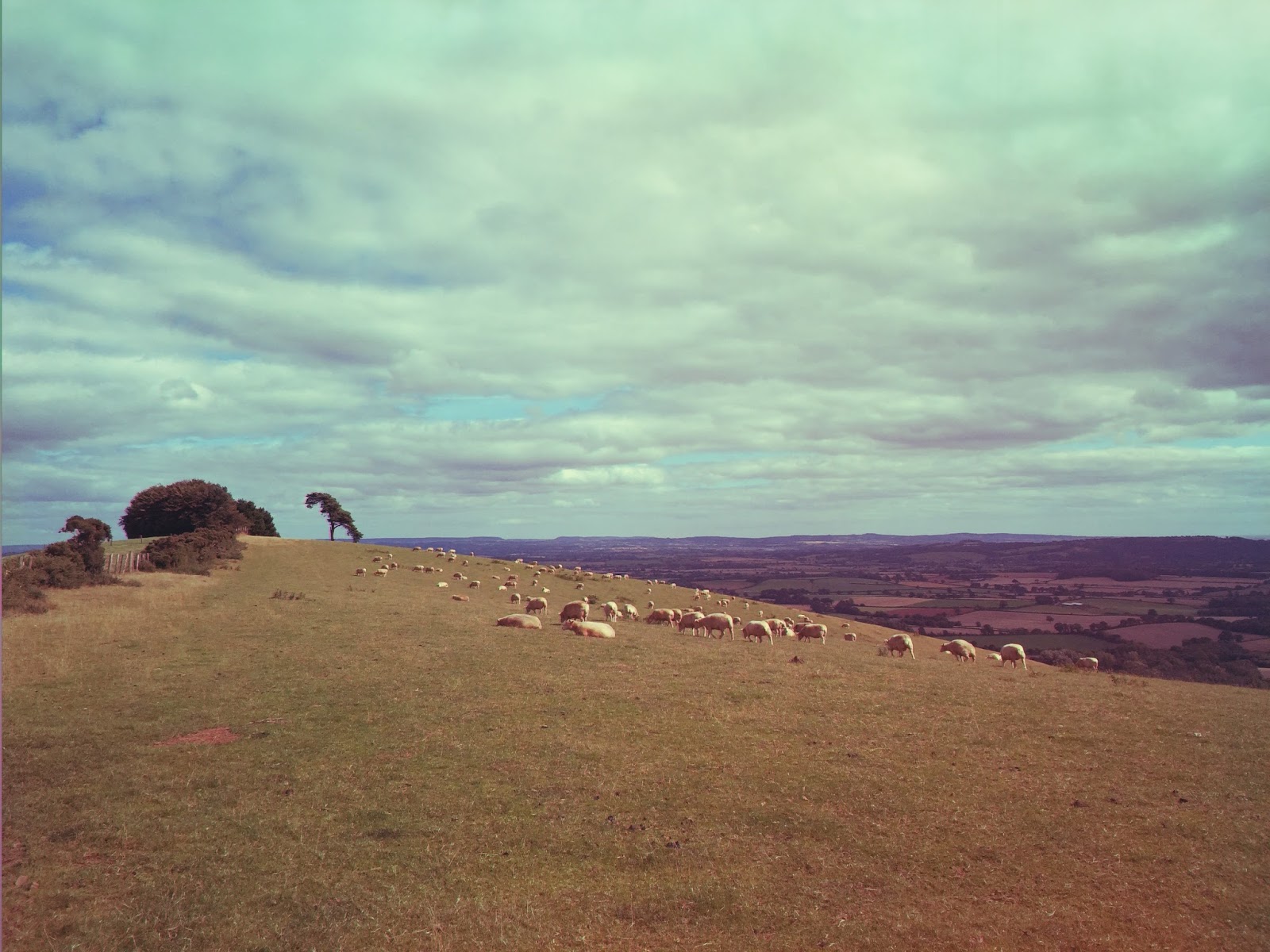 Reading and walking "Raddon Top" whilst Donald Trump and Kim Jong-un talk up the possibility of ...