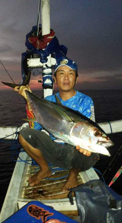 pancing jepang: Casting yellowfin tuna menggunakan umpan soft lure