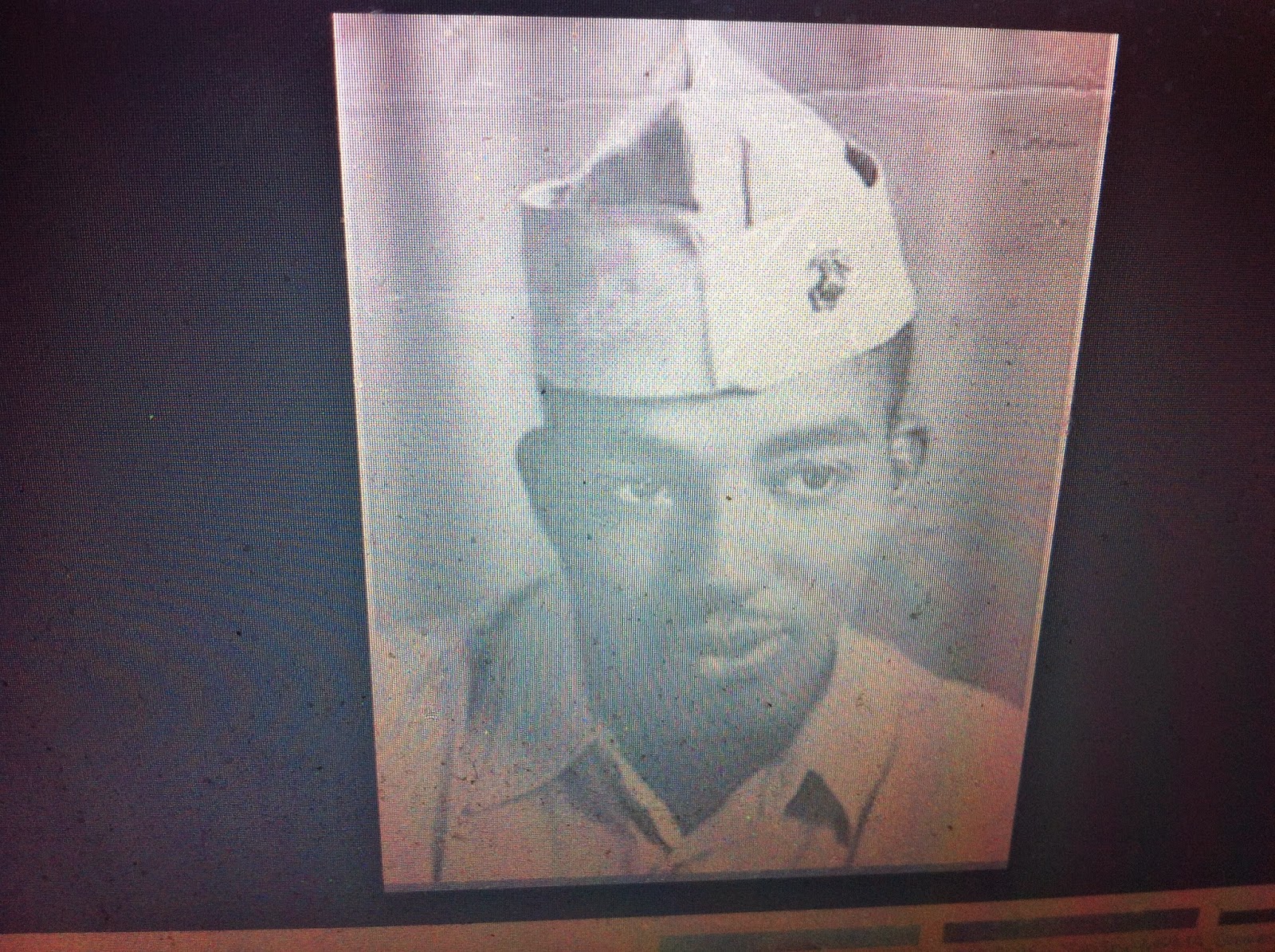 THE BLACK SOCIAL HISTORY:: BLACK SOCIAL HISTORY : AFRICAN AMERICAN ...