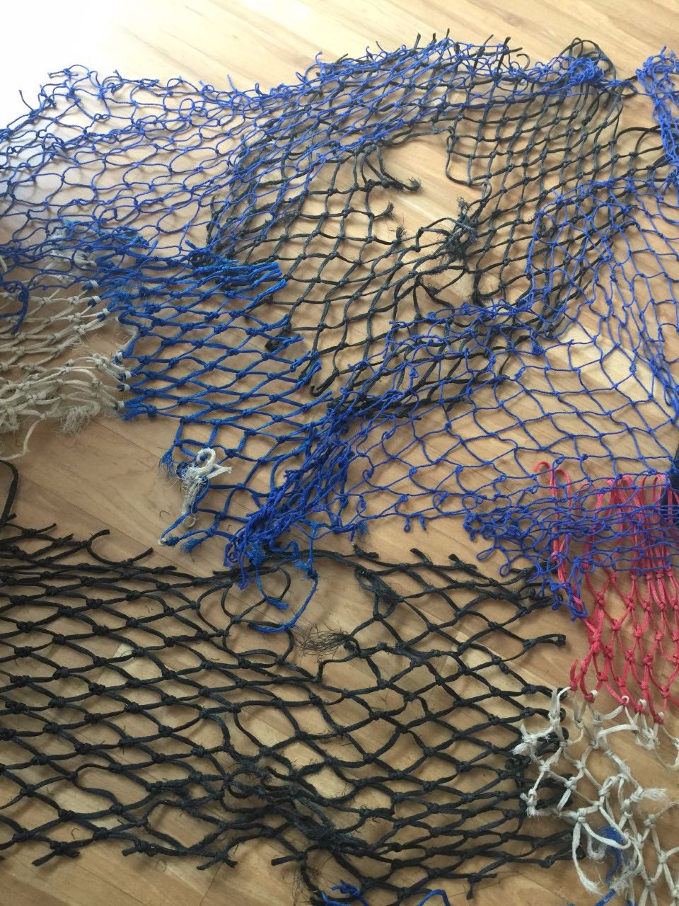 Polly Bates, An Artist's Journal