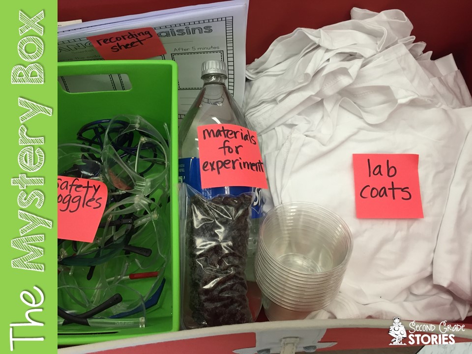 Being a Scientist - Experiment Fun! - Second Grade Stories