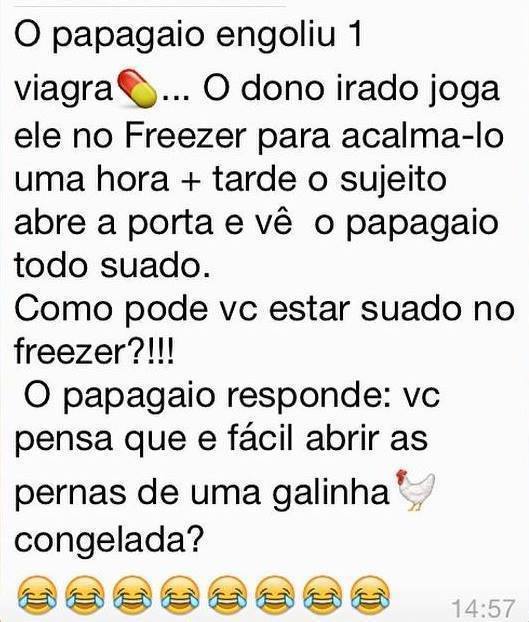 Pé Na Bunda: PIADAS