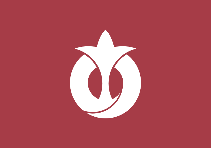 Flyer Goodness: Japanese Prefecture Flags